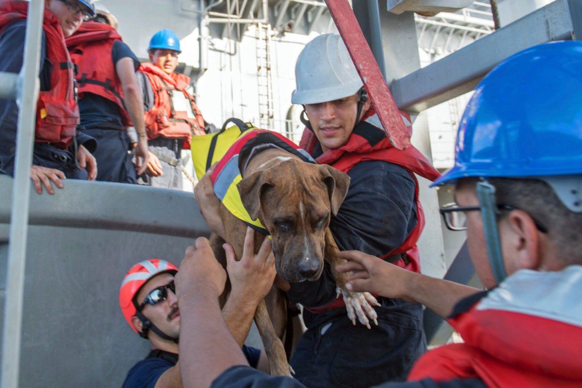 US Navy saves two distressed mariners lost for months in Pacific Ocea...