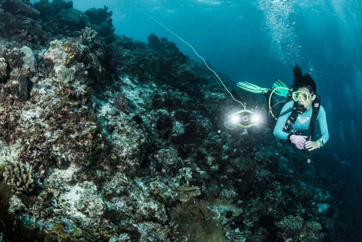QYSea FiFish 3 is a personal underwater drone that can take stunning...